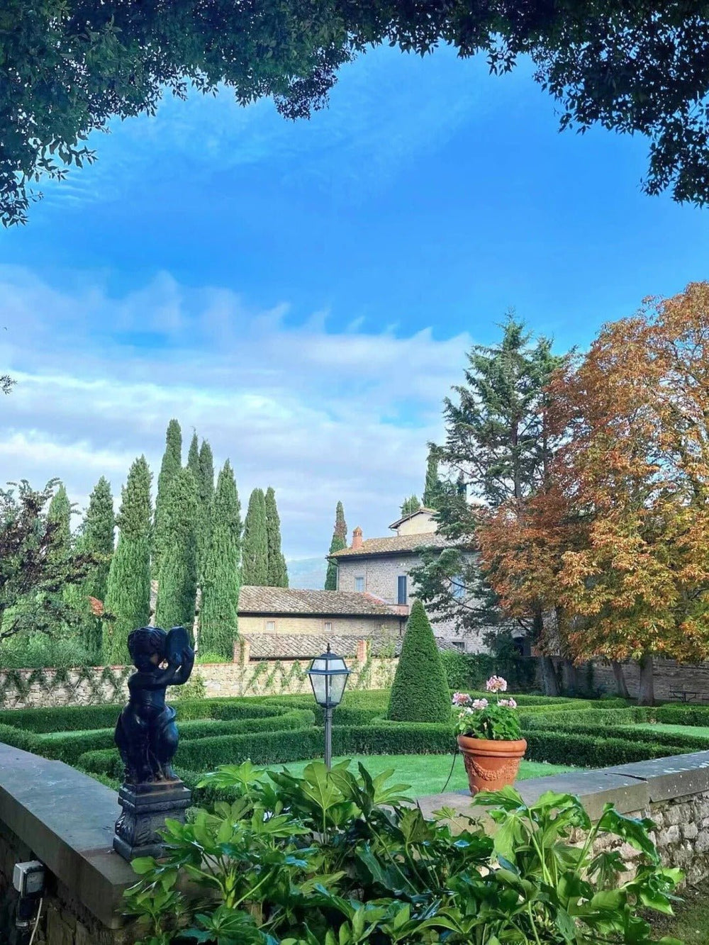 Garden Glamour: Elevate Your Outdoors with Everlasting