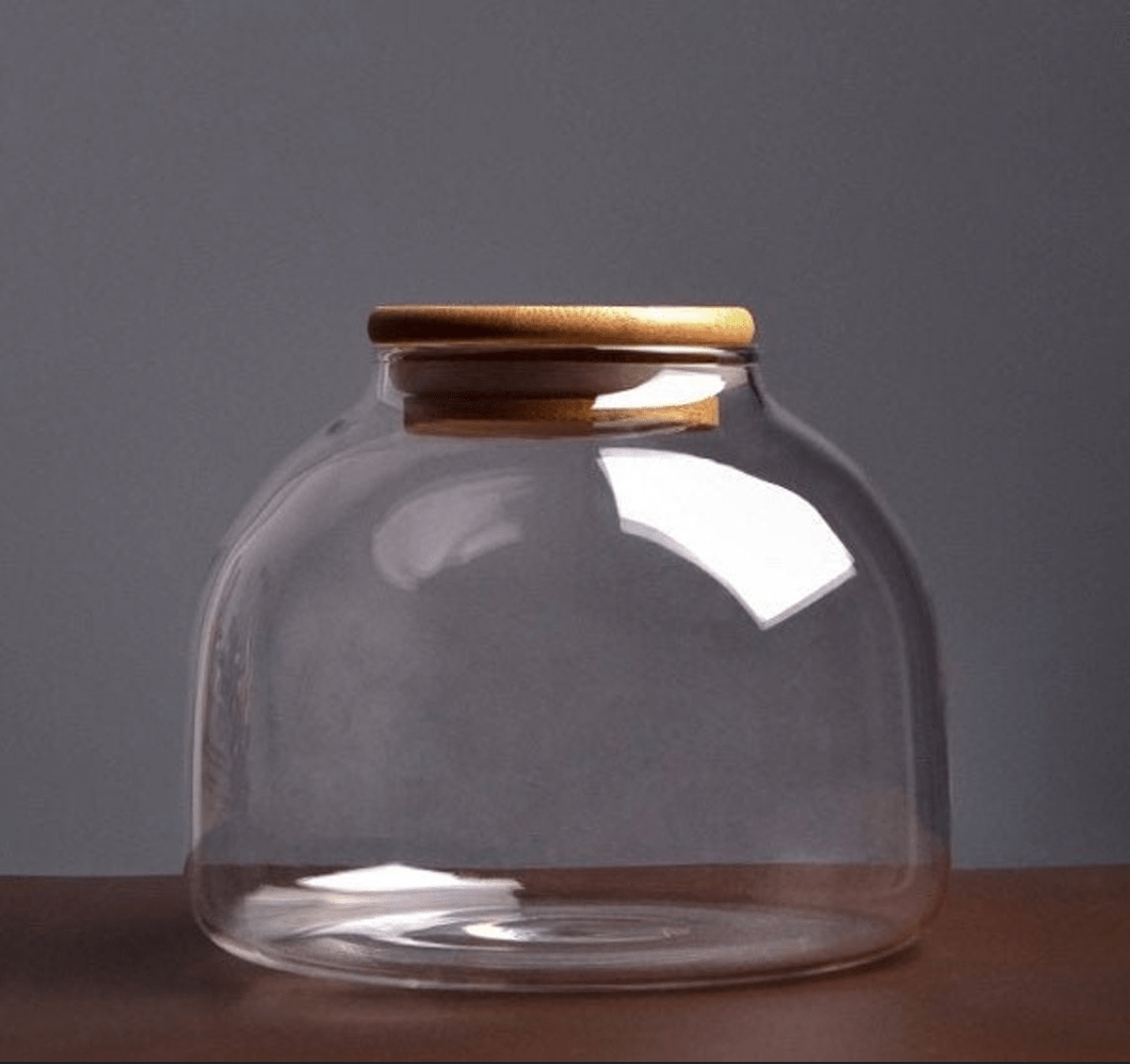 Large Glass Container